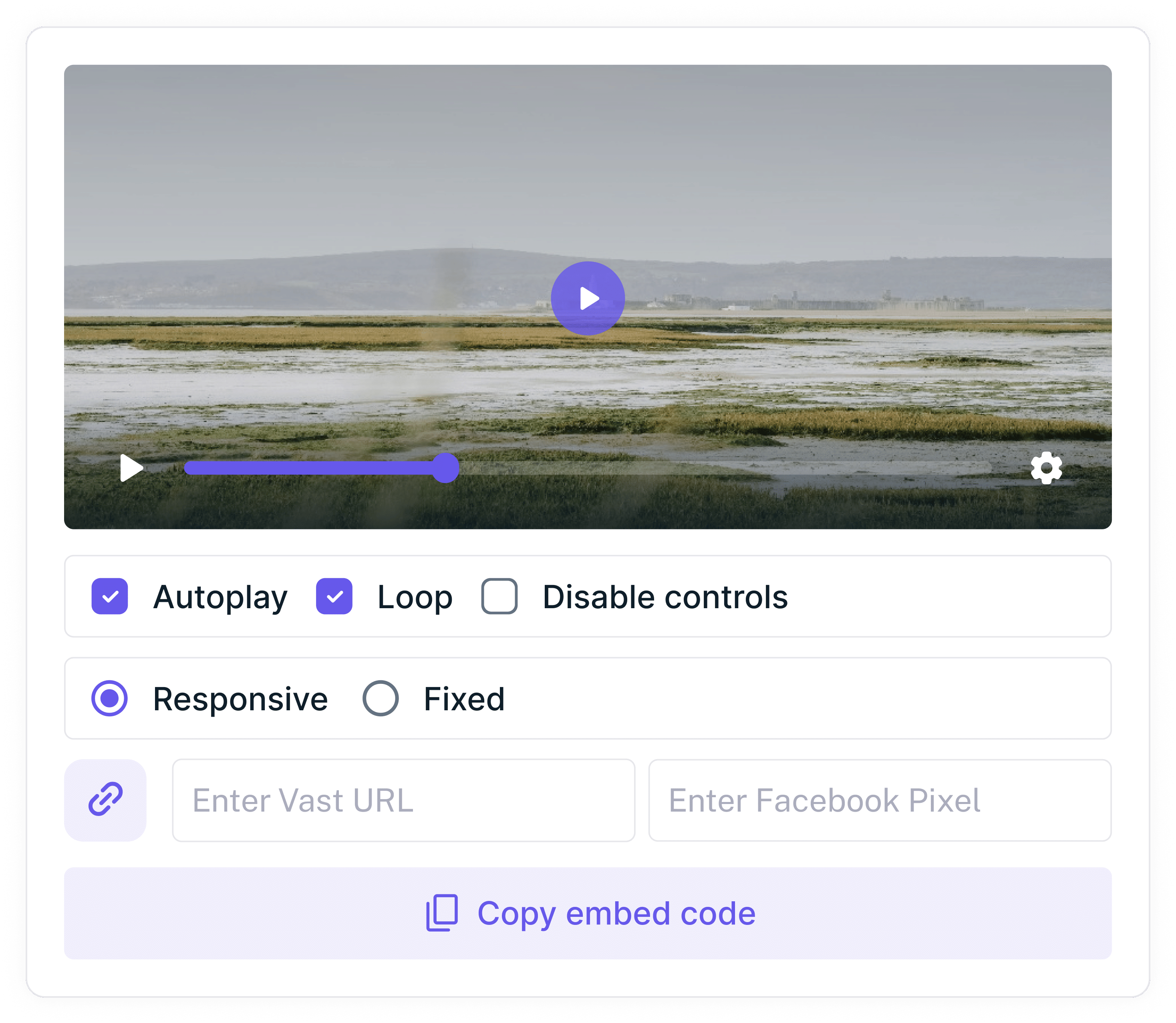 Free FLV Player - Play FLV files online