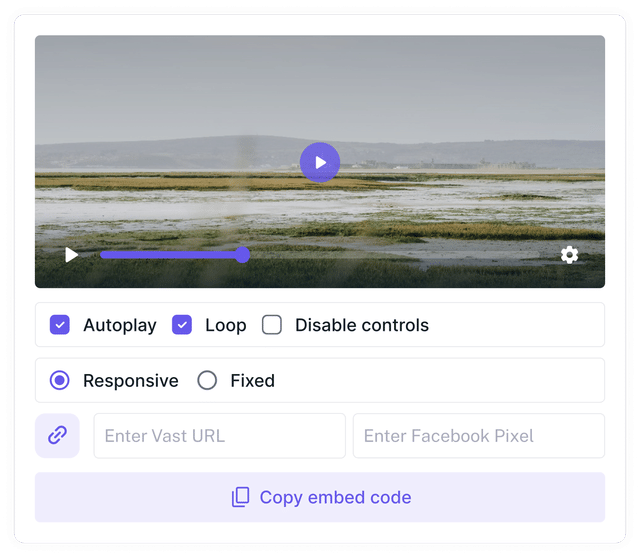 Free FLV Player - Play FLV files online