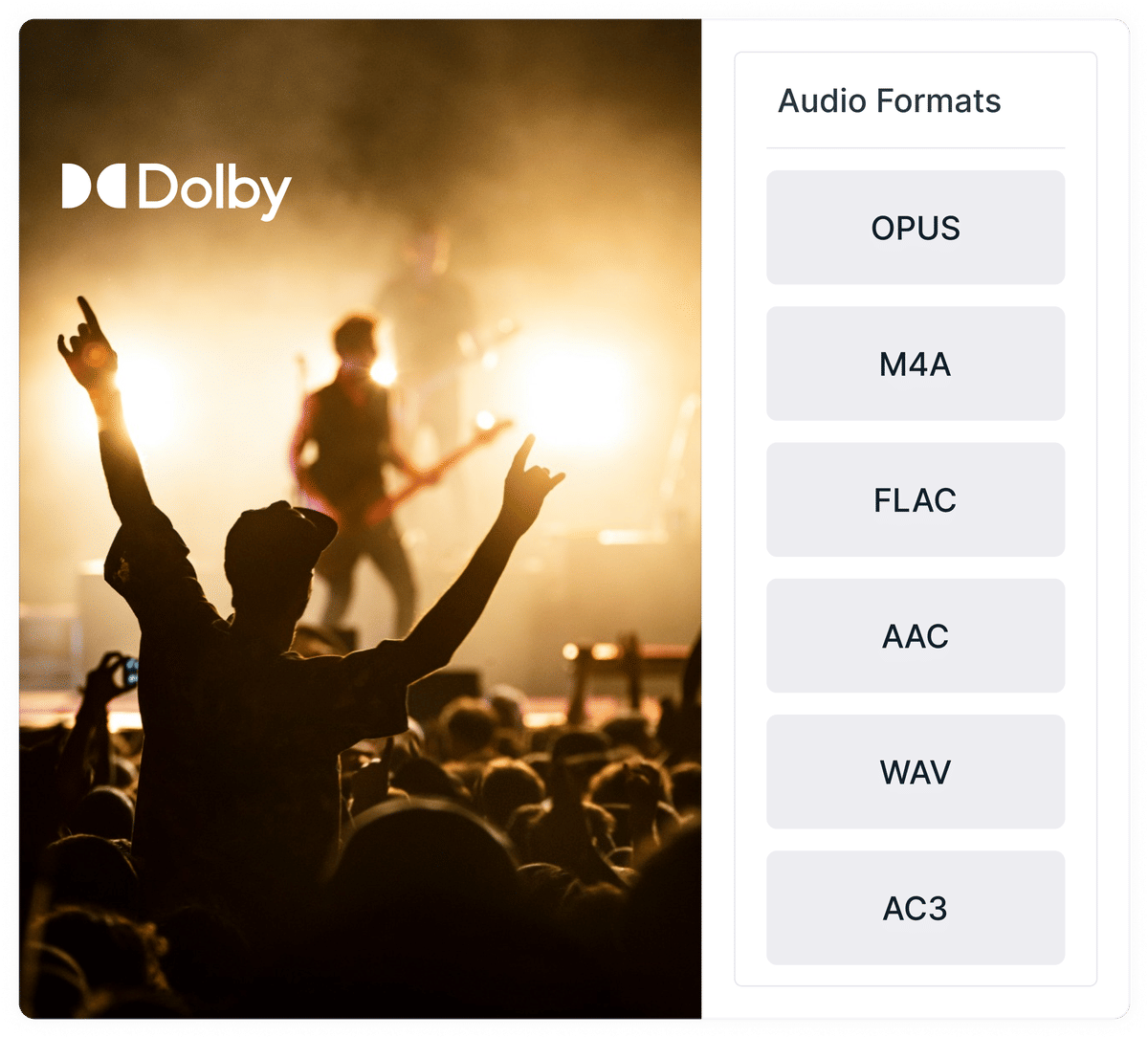 Free unlimited subtitles and multi-audio