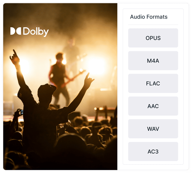 Free unlimited subtitles and multi-audio