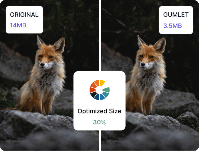 Image Format Conversion